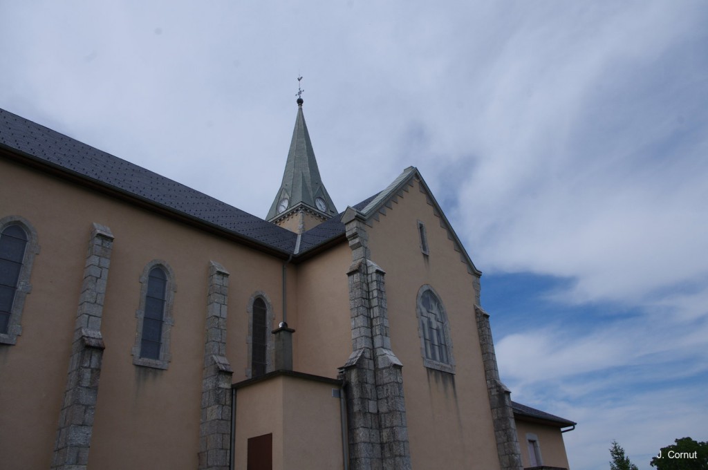 Sérotine bicolore - Les chauves-souris de Rhône-Alpes